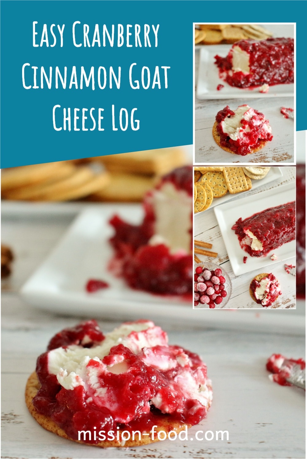 Cranberry Goat Cheese Log - Mission Food Adventure