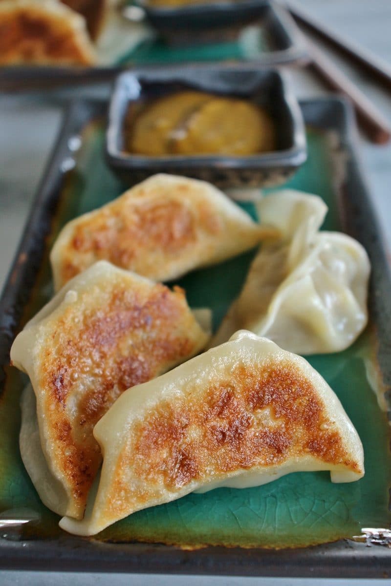 Japanese Curry Chicken Dumplings - Mission Food Adventure
