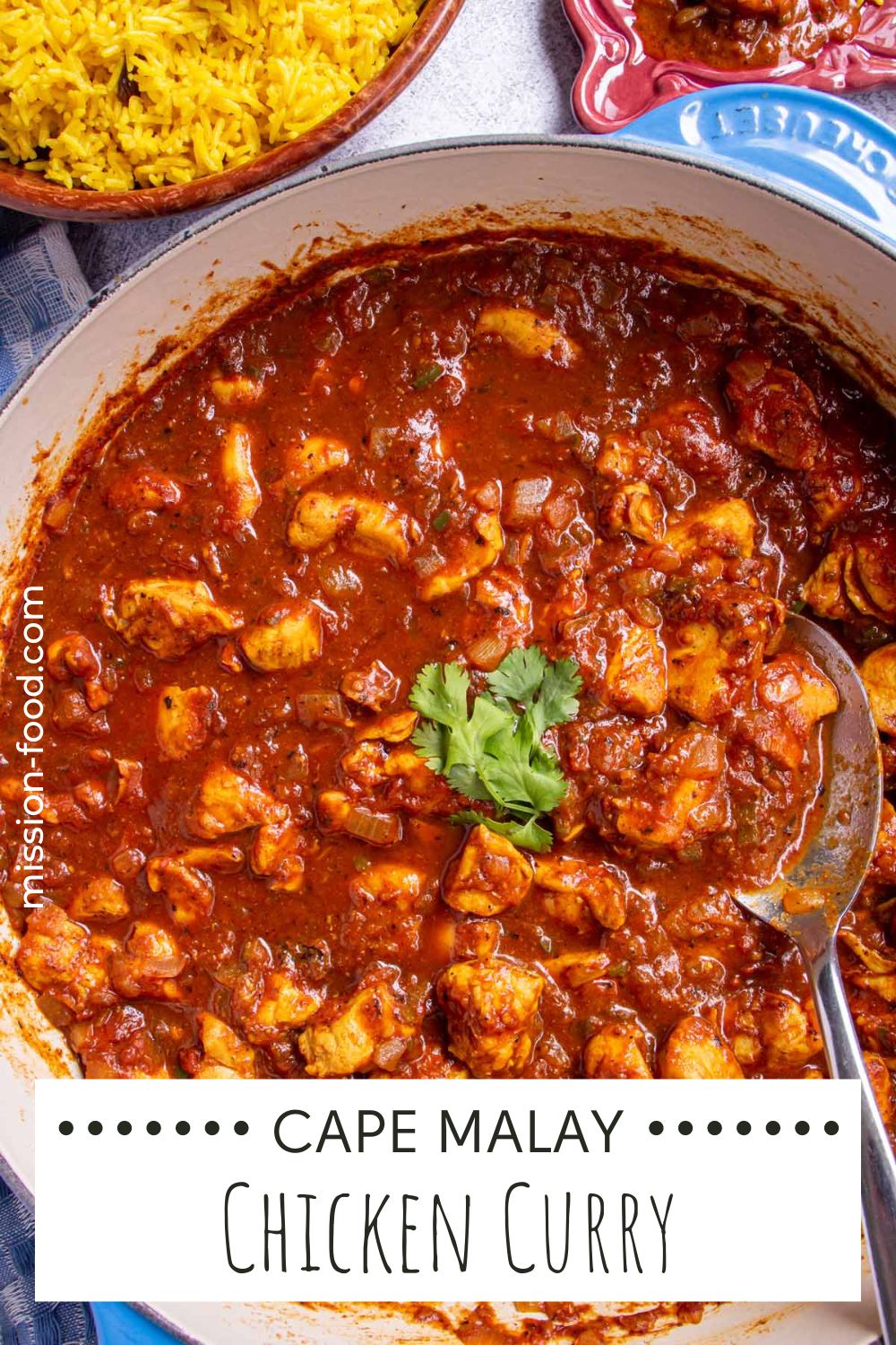 Cape Malay Chicken Curry - Mission Food Adventure