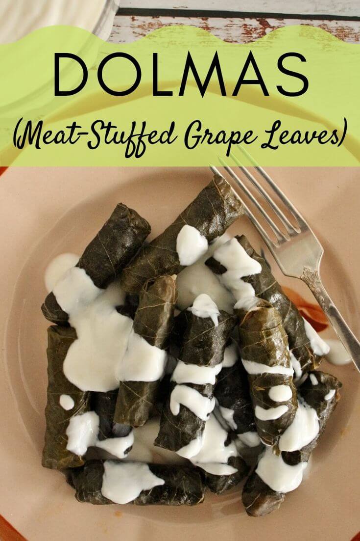 Dolma (Stuffed Grape Leaves with Meat and Rice) - Mission Food Adventure