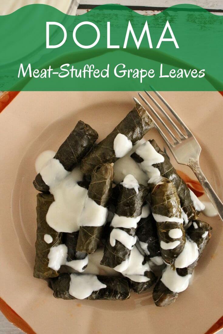 Dolma (Stuffed Grape Leaves with Meat and Rice) - Mission Food Adventure
