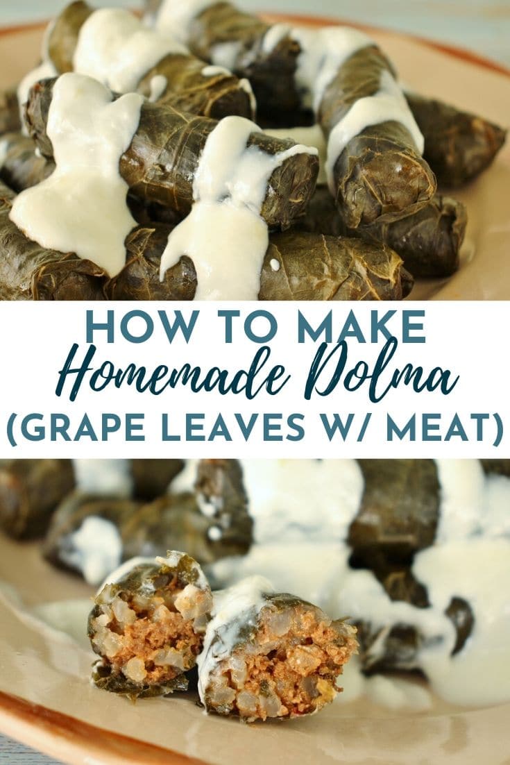 Dolma (Stuffed Grape Leaves with Meat and Rice) - Mission Food Adventure