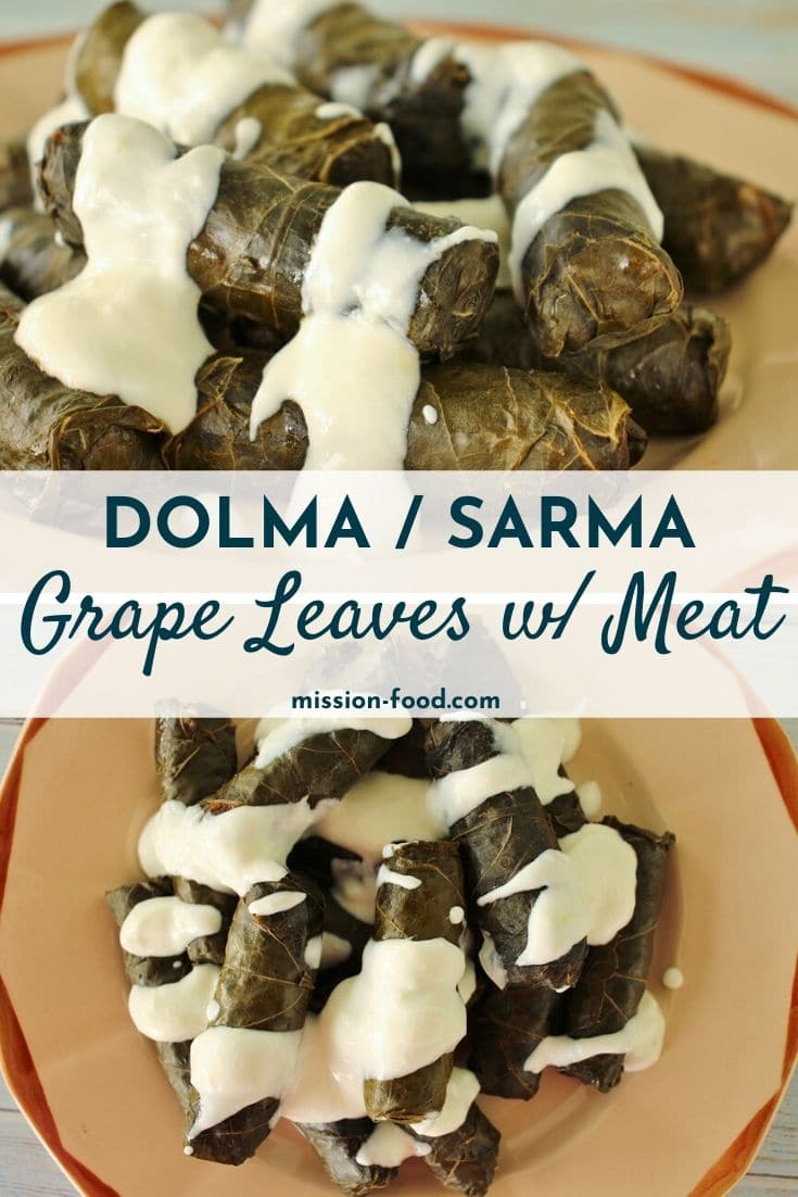 Dolma (Stuffed Grape Leaves with Meat and Rice) - Mission Food Adventure