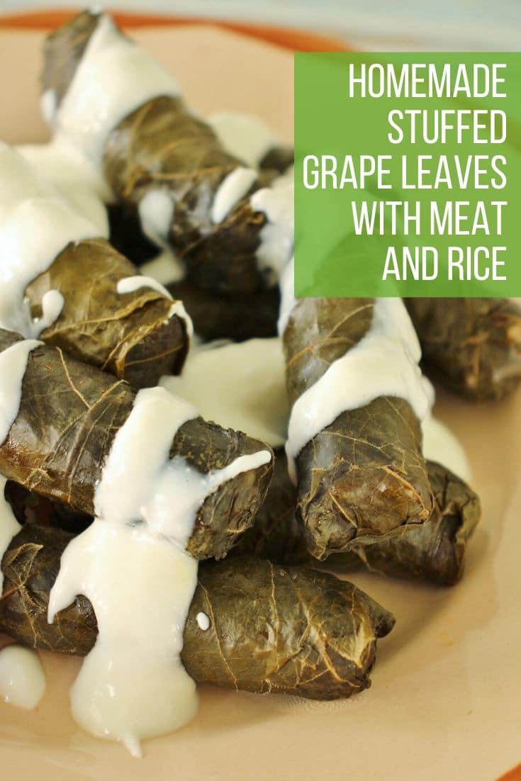 Dolma (Stuffed Grape Leaves with Meat and Rice) - Mission Food Adventure