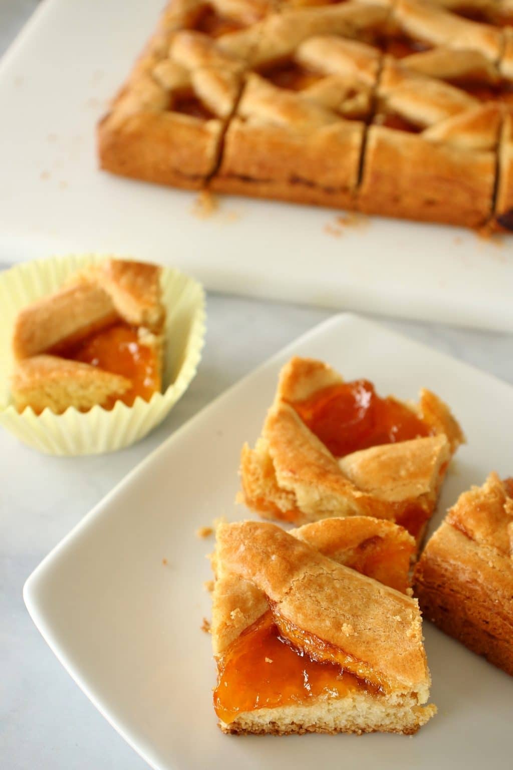 Russian Pirog with Apricot Preserves - Mission Food Adventure