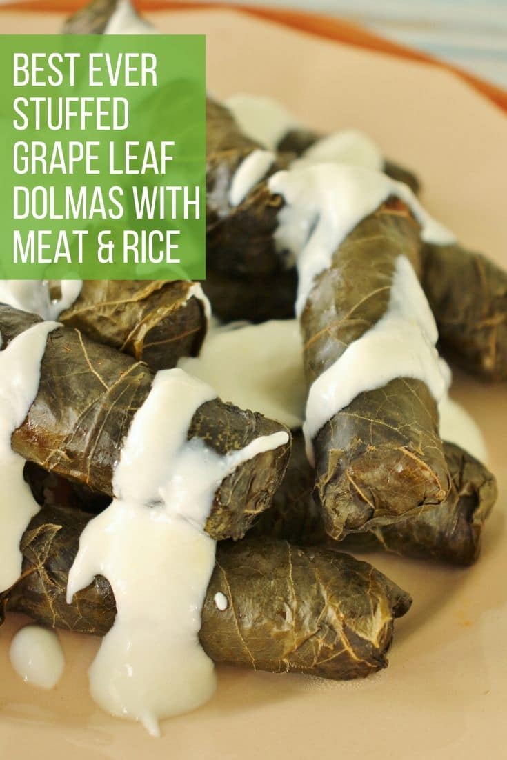Dolma (Stuffed Grape Leaves with Meat and Rice) - Mission Food Adventure