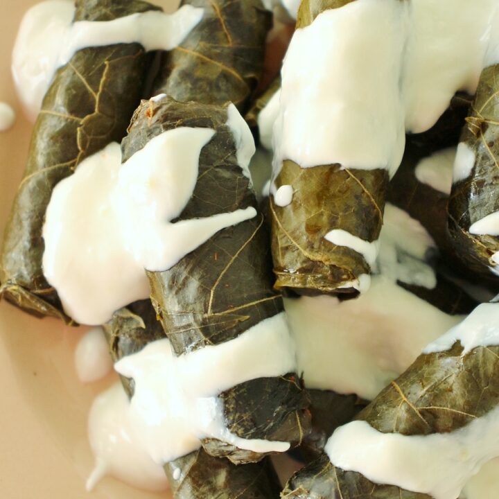 Dolma (Stuffed Grape Leaves with Meat and Rice) - Mission Food Adventure