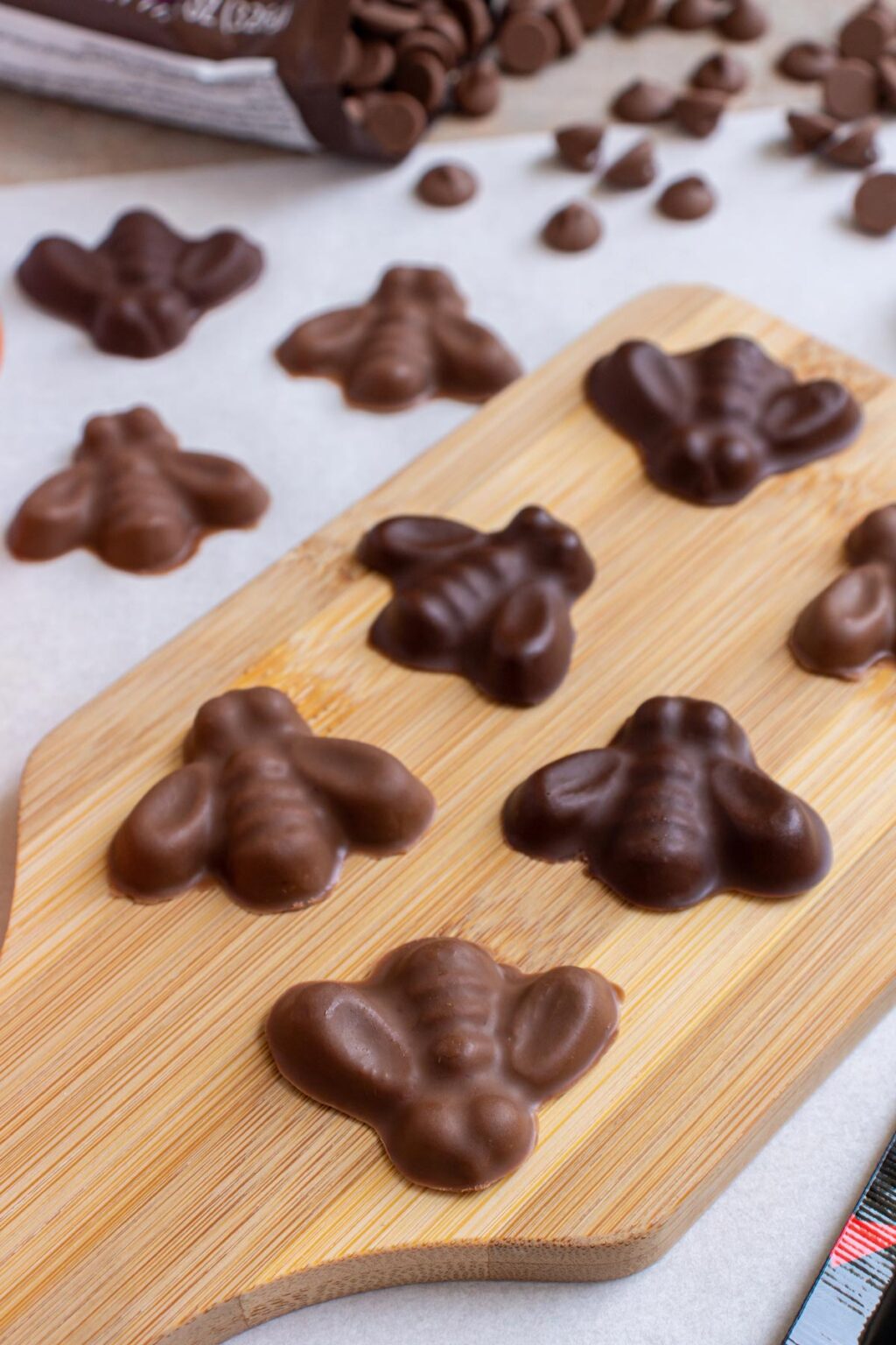 Fizzing Whizzbees Chocolate Candies from Harry Potter - Mission Food ...