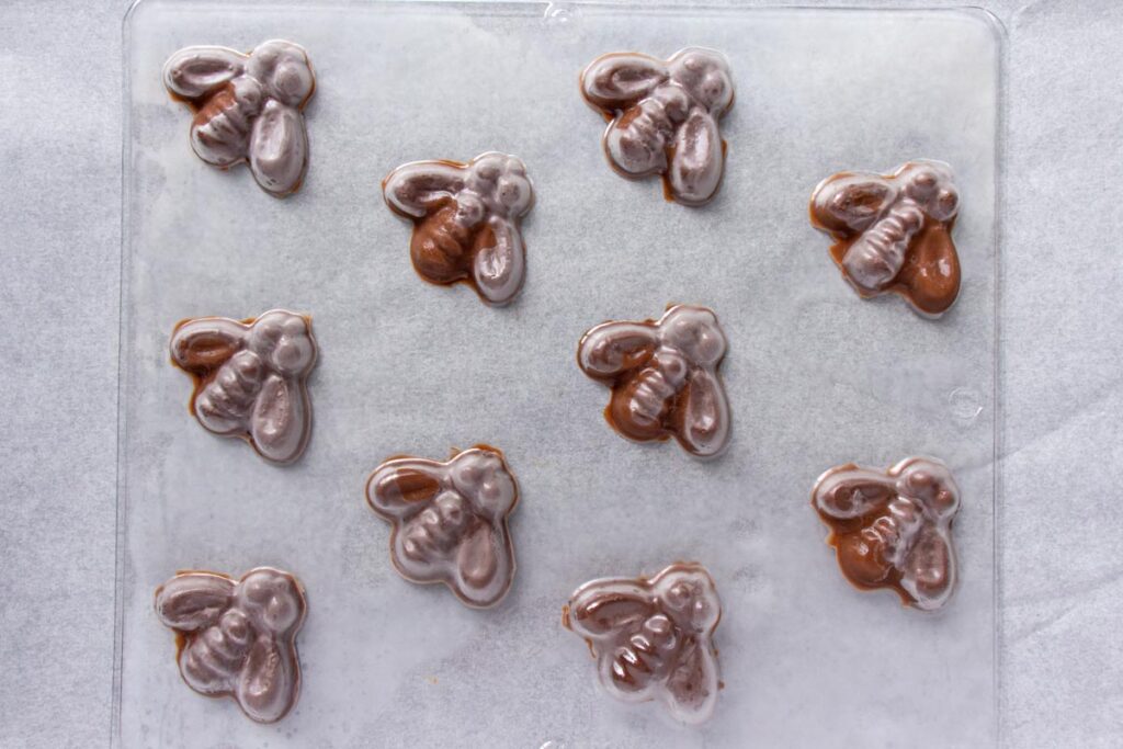 Fizzing Whizzbees Chocolate Candies from Harry Potter - Mission Food ...