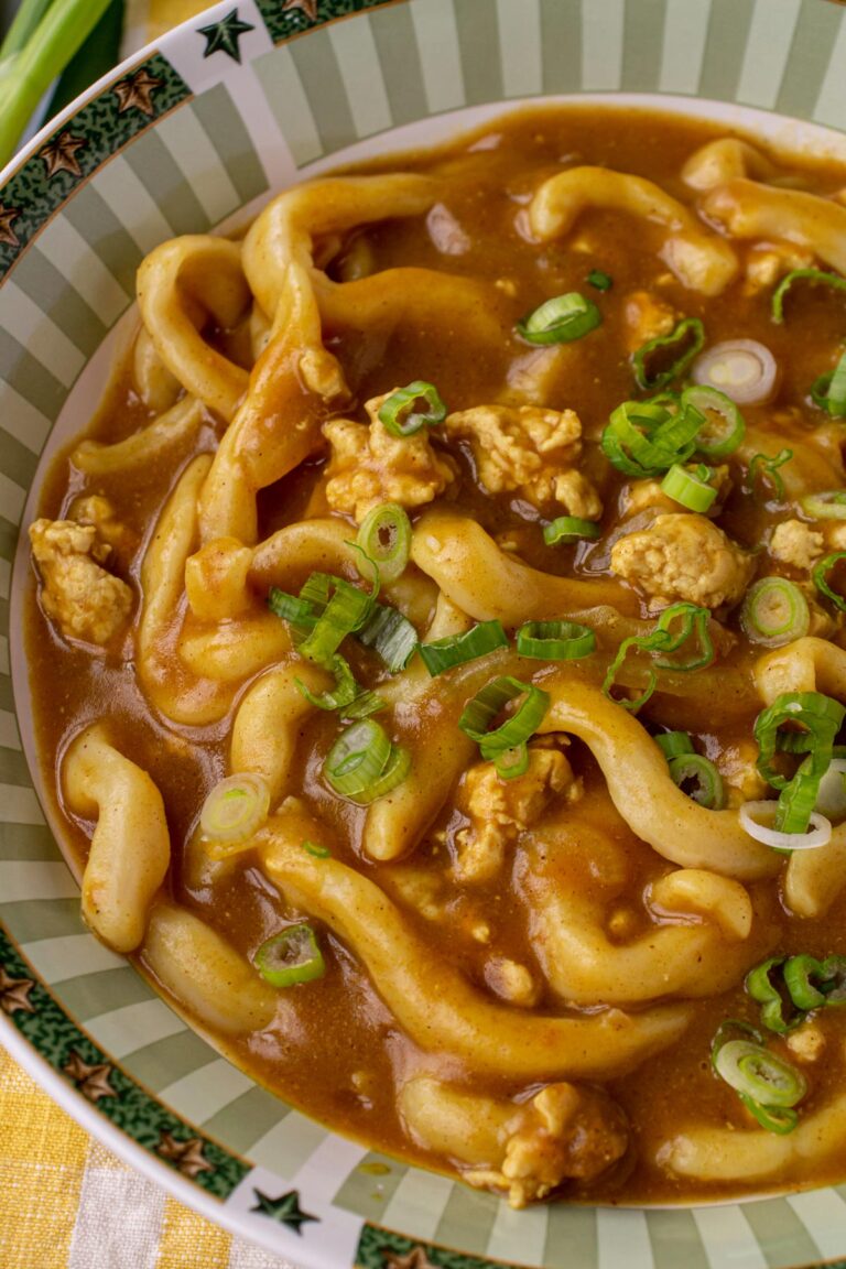 Kare Udon (Japanese Curry Udon Soup) - Mission Food Adventure