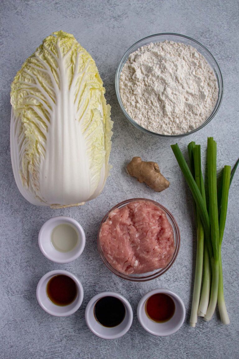 Pork and Cabbage Dumplings - Mission Food Adventure